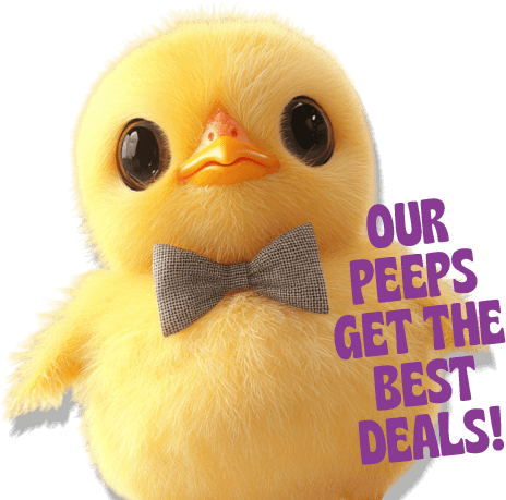 Rent to Own Store - Furniture, Appliances, TVs, Phones, Computers | ACE